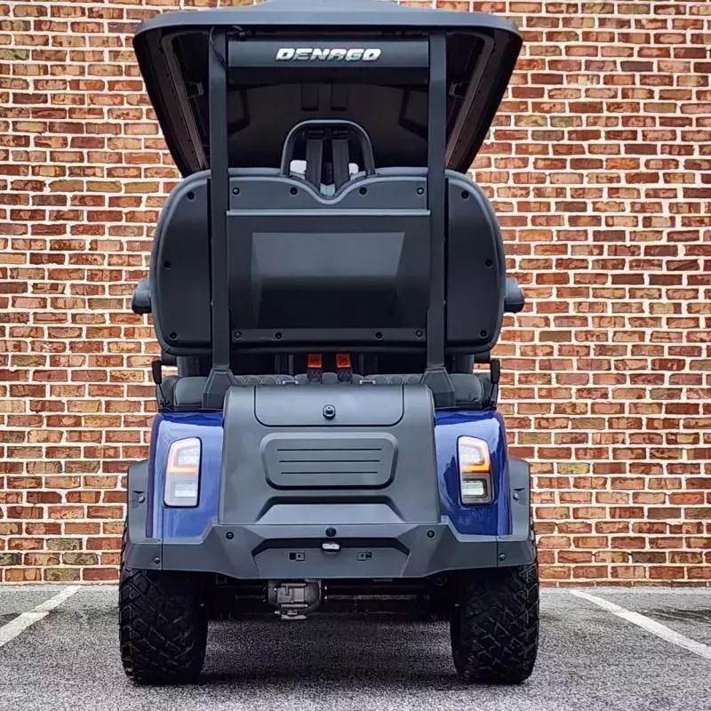 2025 Denago EV Rover XL | CartFinder