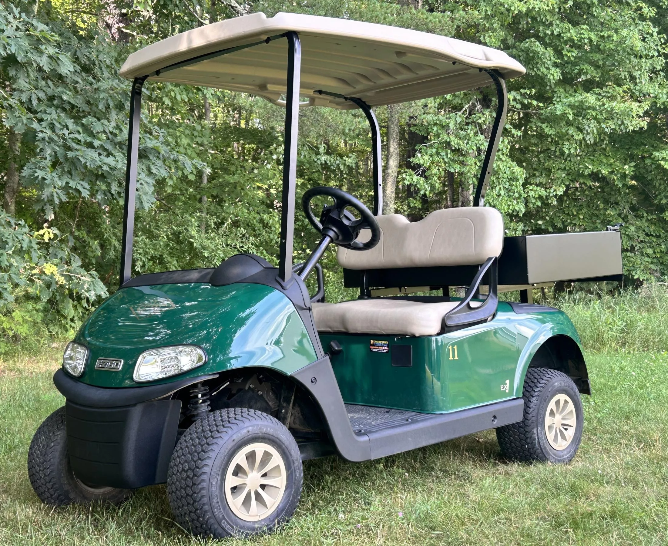 ezgo buggy