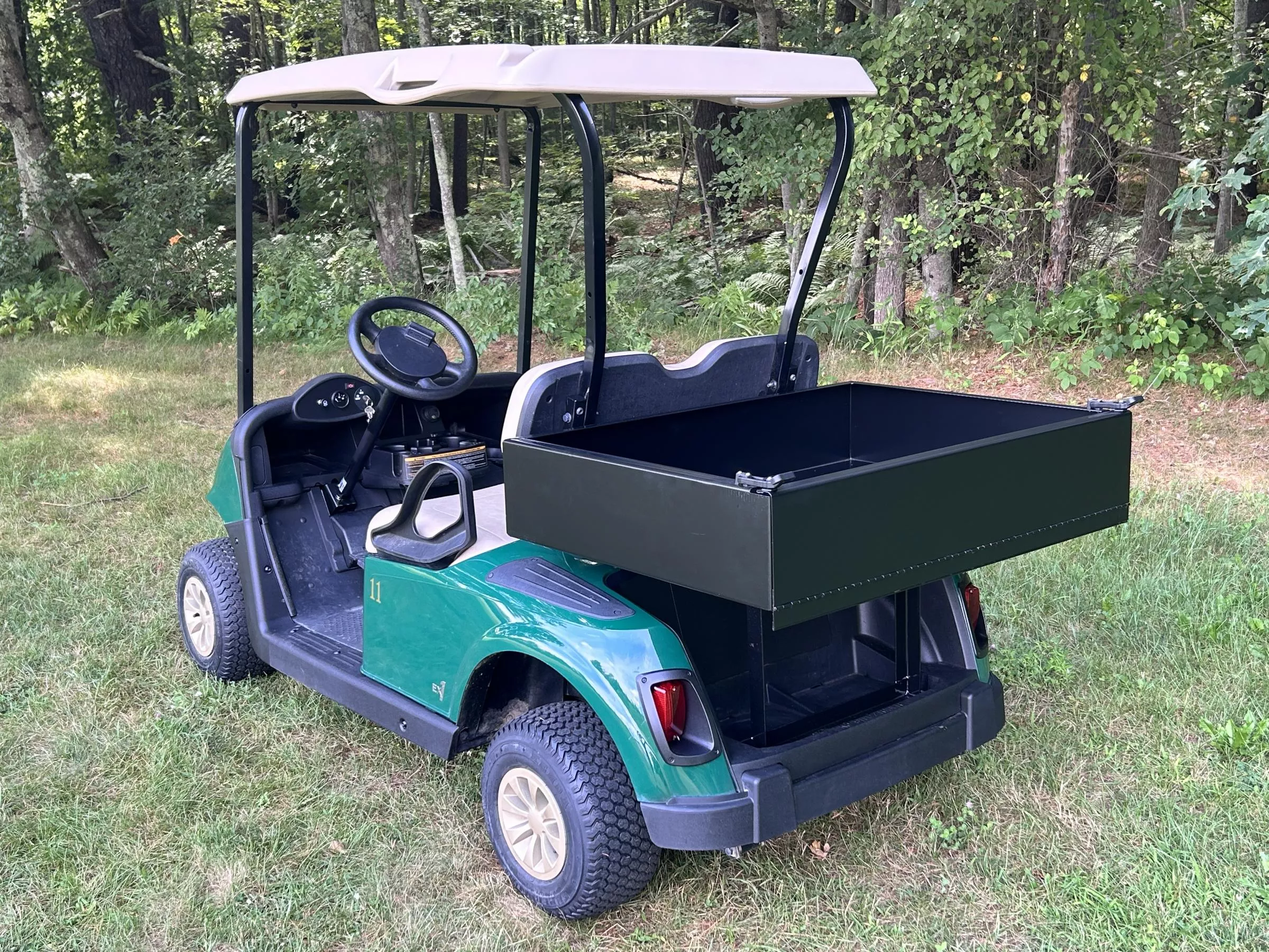 ezgo buggy